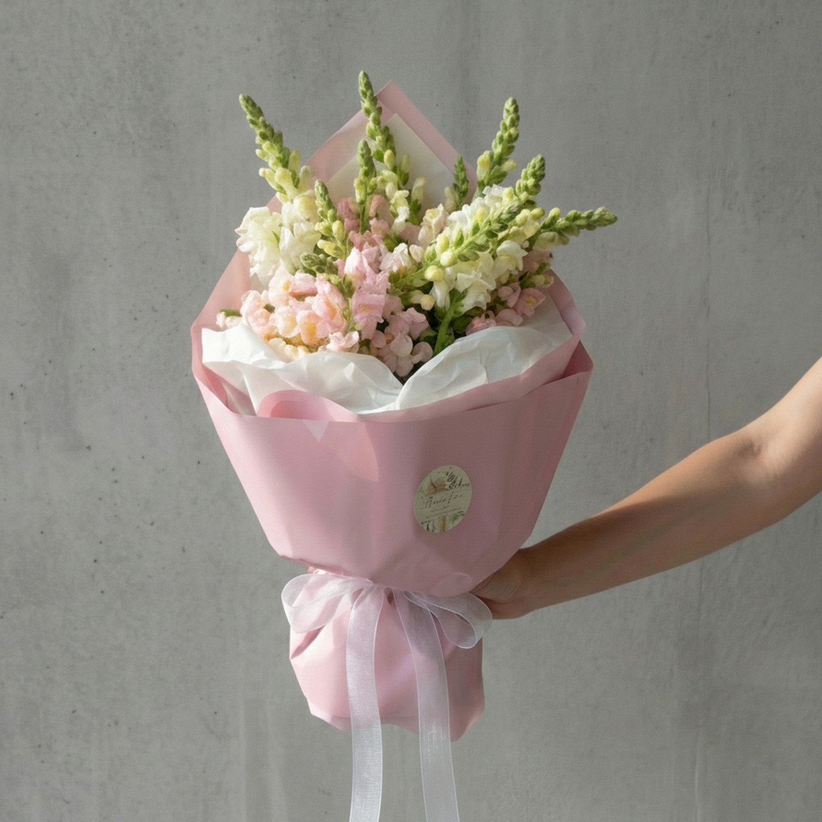 Lovely Snap Dragon – Blossom Time